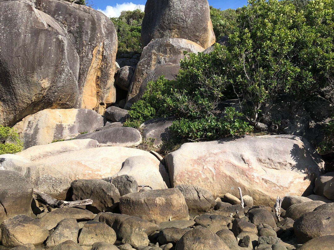 2025年3月Finch Bay景点攻略-Finch Bay门票预订|地址|图片-Finch Bay景点点评-猫途鹰