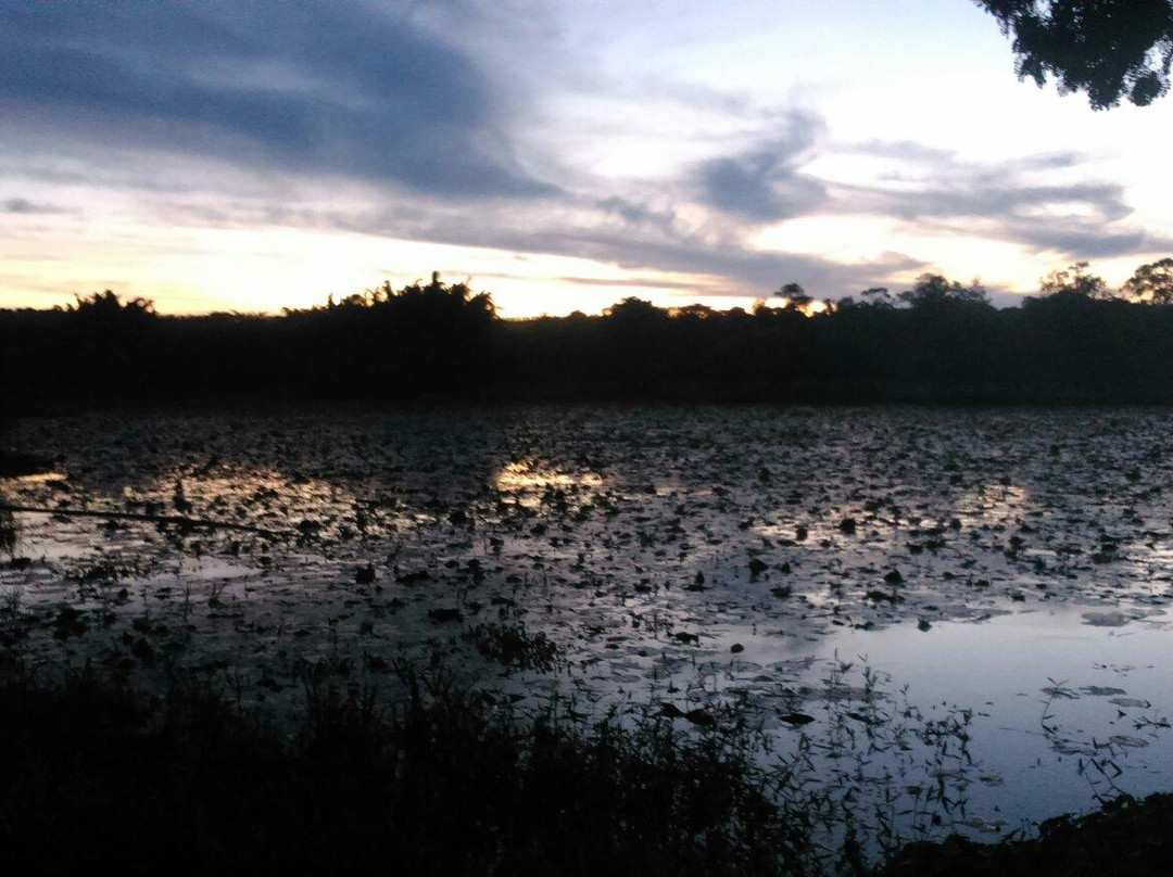 2024年1月Parque Do Lago景点攻略-Parque Do Lago门票预订|地址|图片-Parque Do Lago景点点评-猫途鹰