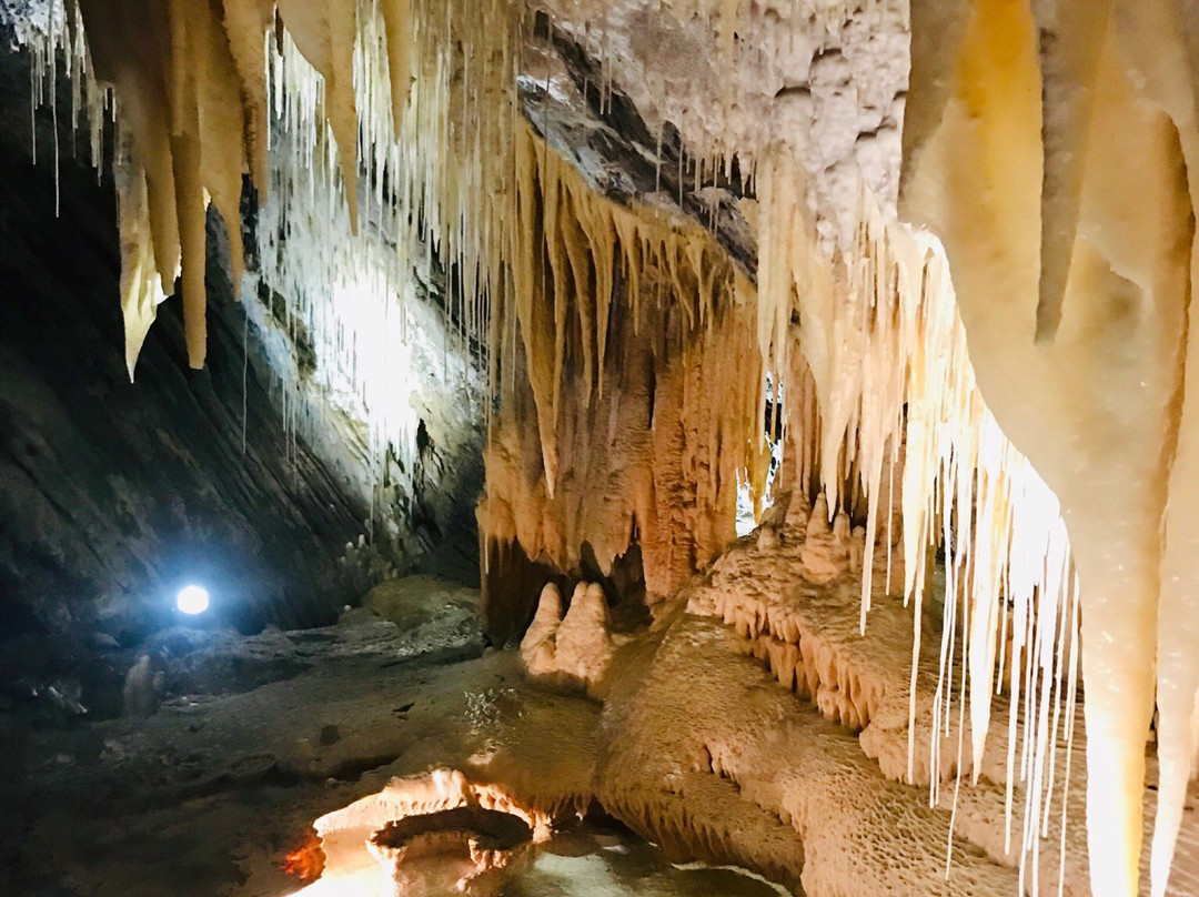 2024年4月Marakoopa Cave景点攻略-Marakoopa Cave门票预订|地址|图片-Marakoopa Cave景点点评-猫途鹰