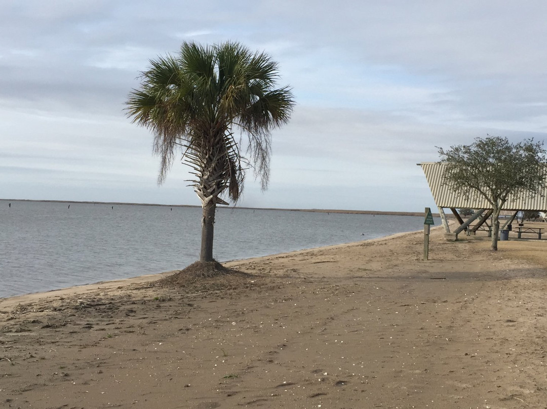 2024年2月Cypremort Point State Park景点攻略-Cypremort Point State Park门票预订|地址 ...