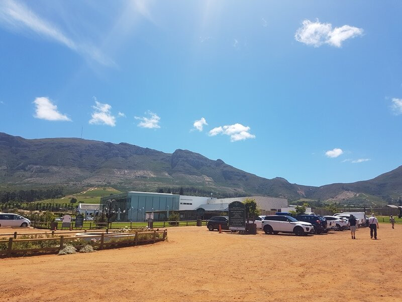 2025年1月Constantia Uitsig Wine Estate景点攻略-Constantia Uitsig Wine Estate ...