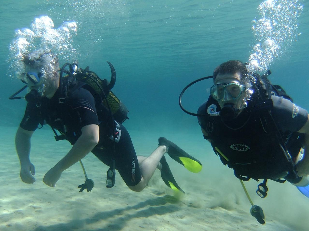 2023年11月Dolphin Diving Centre景点攻略-Dolphin Diving Centre门票预订|地址|图片 ...