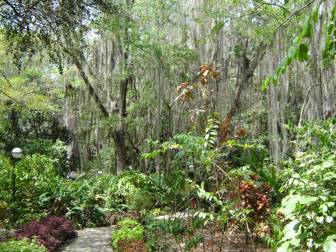 2024年1月Parque Gallineral景点攻略-Parque Gallineral门票预订|地址|图片-Parque ...