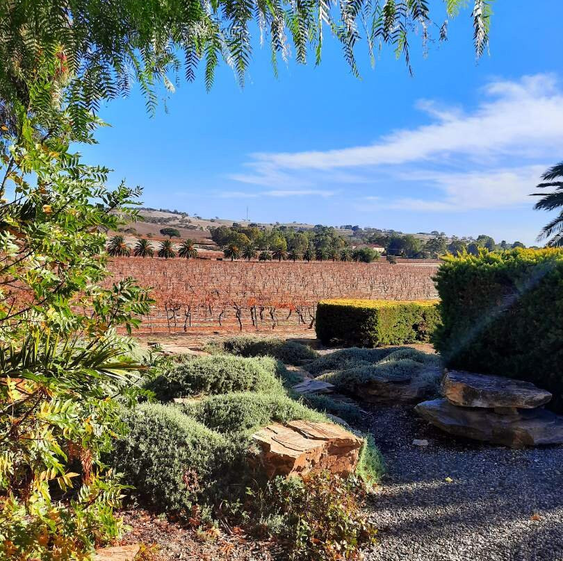 2024年9月Cimicky Wines景点攻略-Cimicky Wines门票预订|地址|图片-Cimicky Wines景点点评-猫途鹰