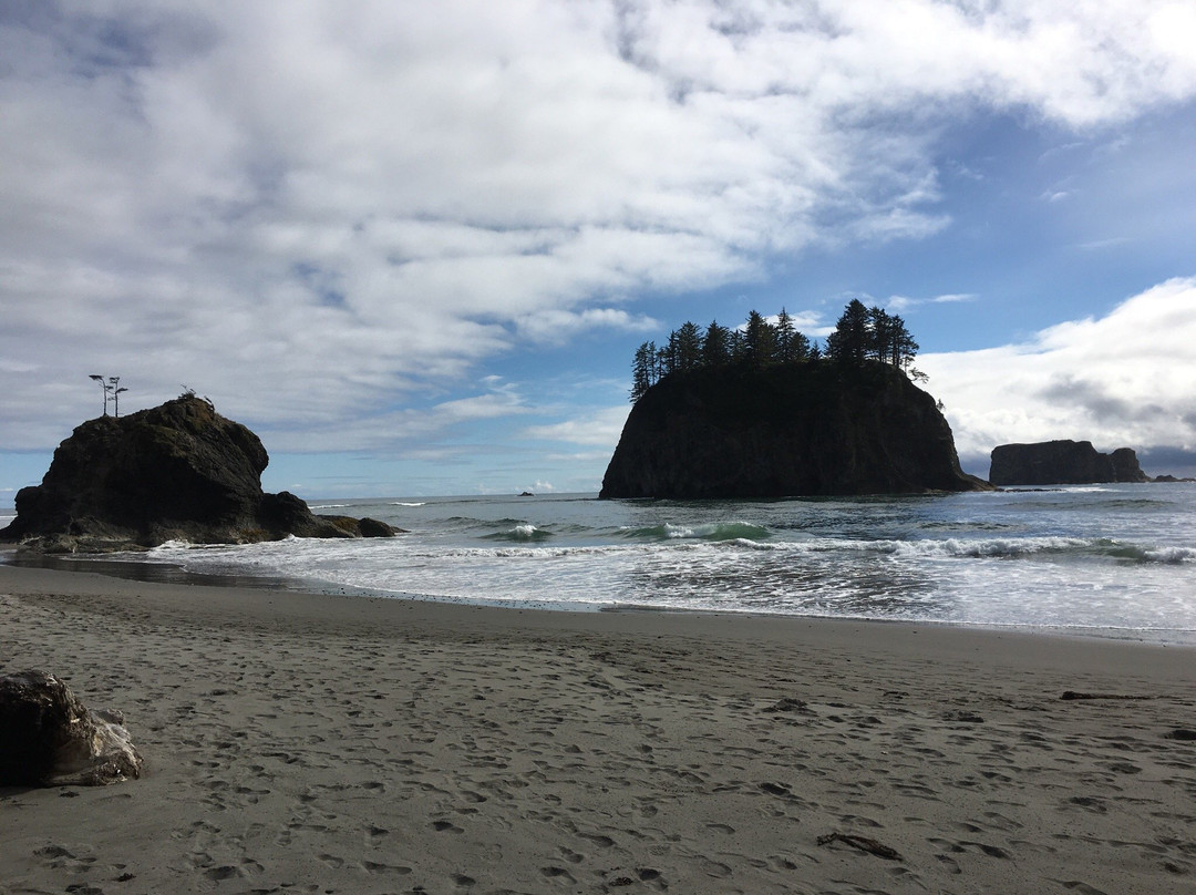 2023年11月Second Beach Trail景点攻略-Second Beach Trail门票预订|地址|图片-Second ...