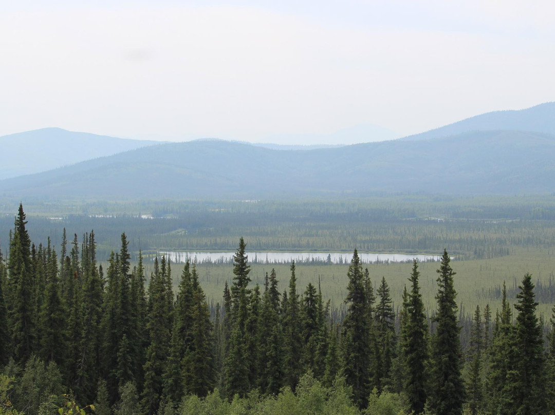 2024年4月Tetlin National Wildlife Refuge景点攻略-Tetlin National Wildlife ...