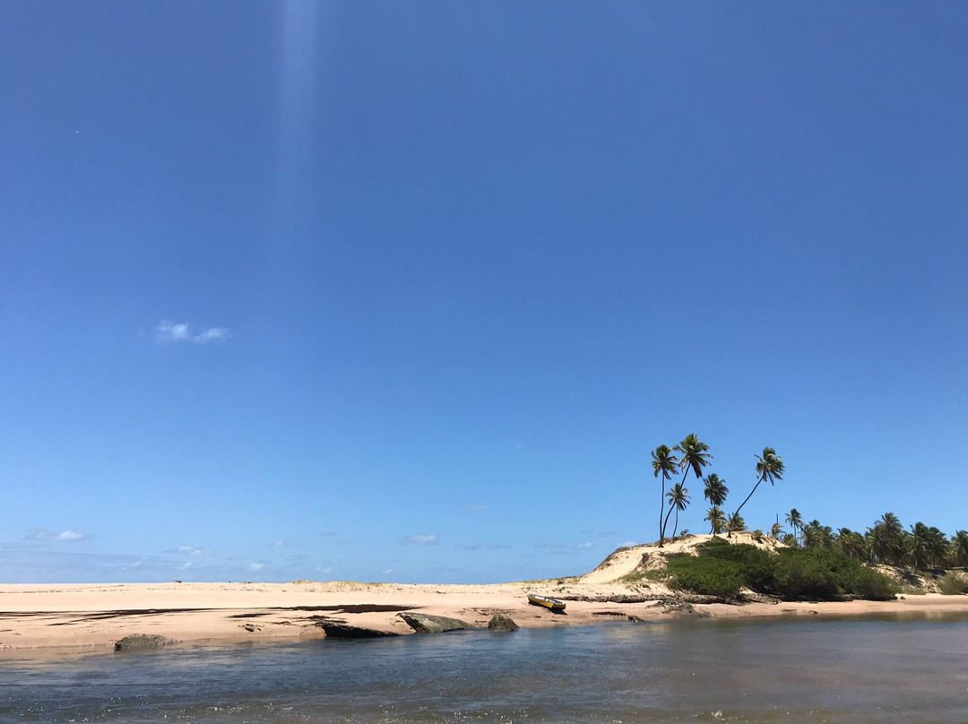 2023年11月Barra Do Itariri Beach景点攻略-Barra Do Itariri Beach门票预订|地址|图片 ...