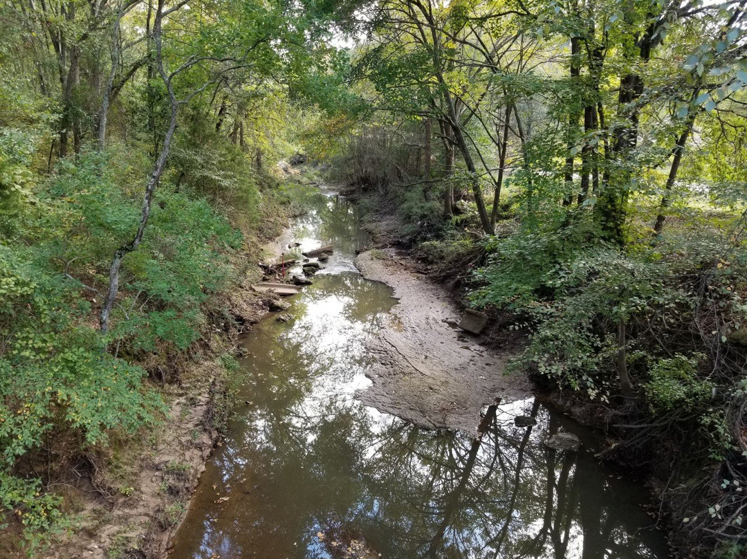 2023年12月Rose Rudman Recreational Trail景点攻略-Rose Rudman Recreational ...