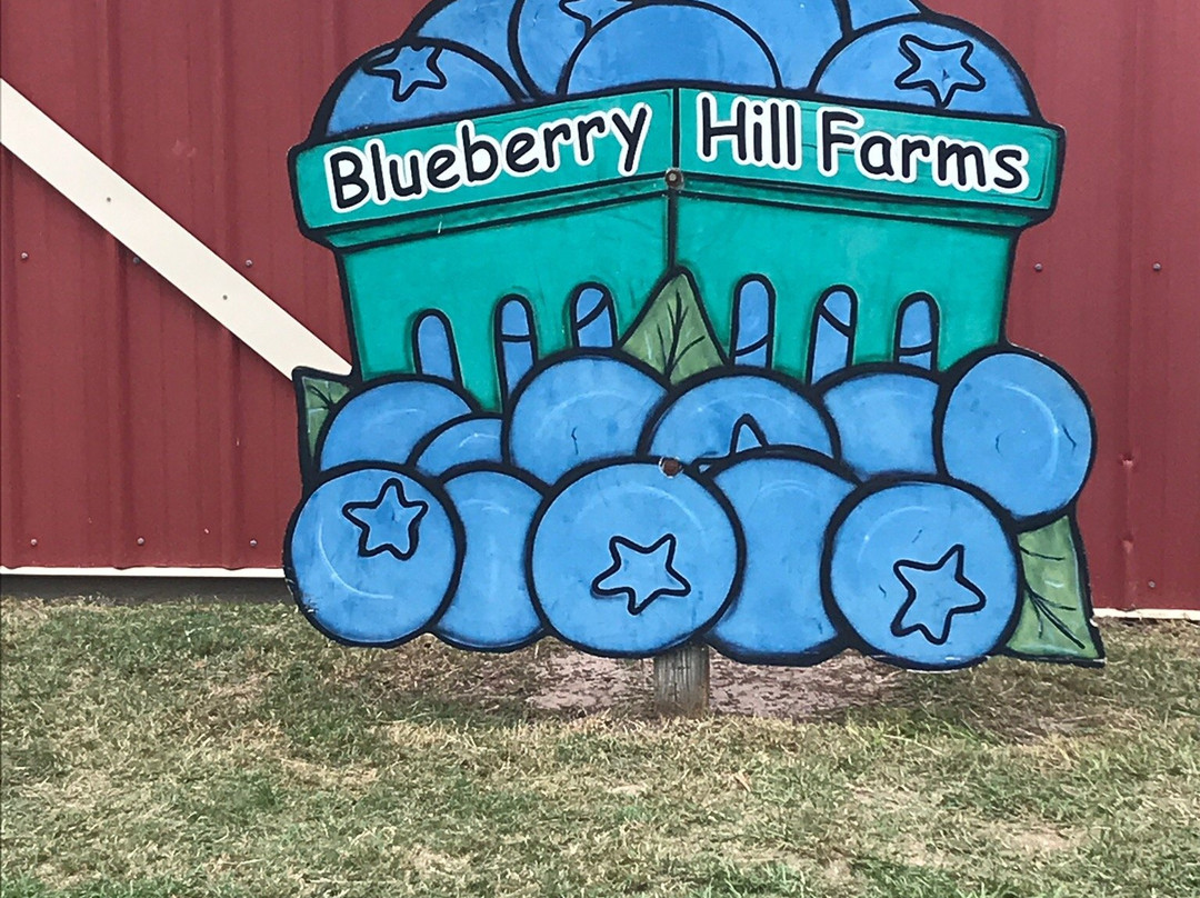2024年3月Blueberry Hill Farms景点攻略-Blueberry Hill Farms门票预订|地址|图片 ...
