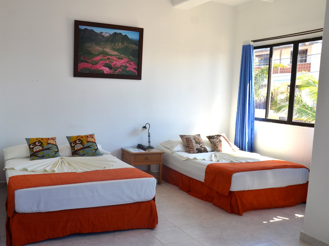 2024年1月Necocli旅游景点攻略-Necocli旅游住宿,-Necocli旅游美食-猫途鹰