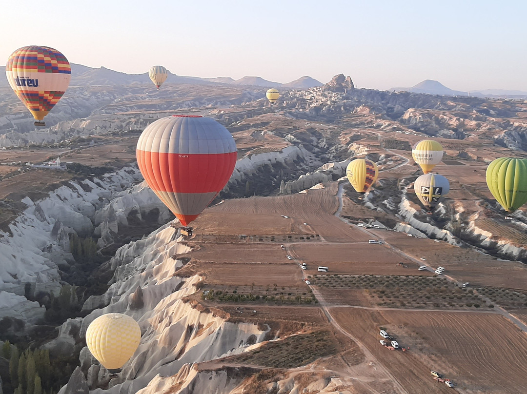 2025年2月Universal Balloon景点攻略-Universal Balloon门票预订|地址|图片-Universal ...