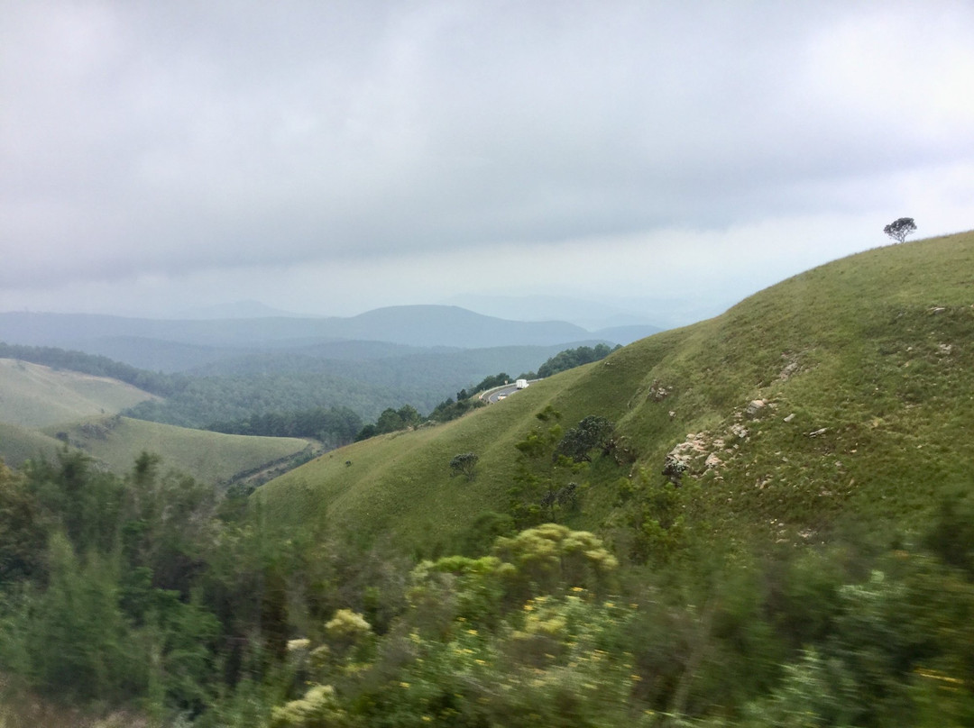 2023年11月Long Tom Pass景点攻略-Long Tom Pass门票预订|地址|图片-Long Tom Pass景点点评-猫途鹰