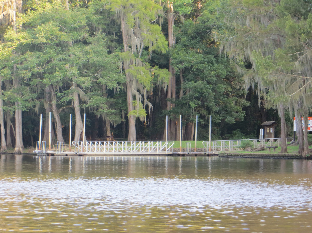 2023年11月Caddo Lake State Park景点攻略-Caddo Lake State Park门票预订|地址|图片-Caddo ...