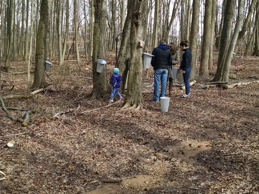 2025年6月Clay Pit Ponds State Park Preserve景点攻略-Clay Pit Ponds State Park ...