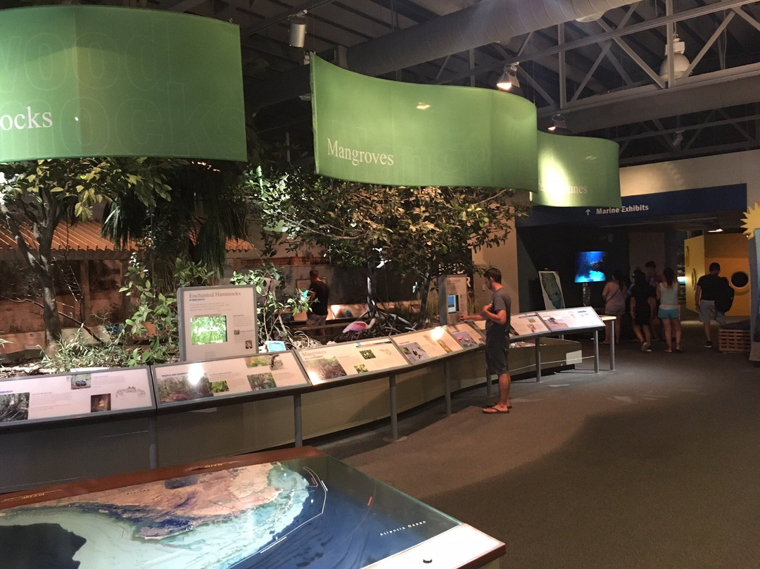 2024年3月Florida Keys Eco-Discovery Center景点攻略-Florida Keys Eco-Discovery ...