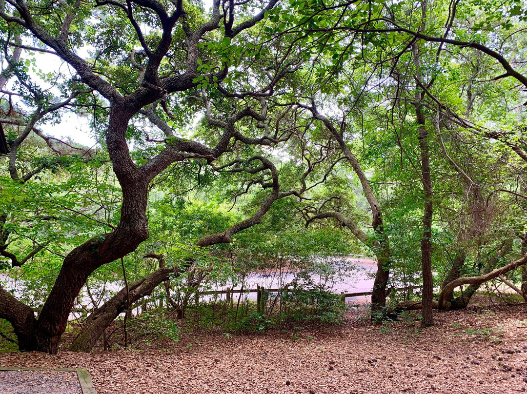 2024年10月First Landing State Park景点攻略-First Landing State Park门票预订|地址|图片 ...