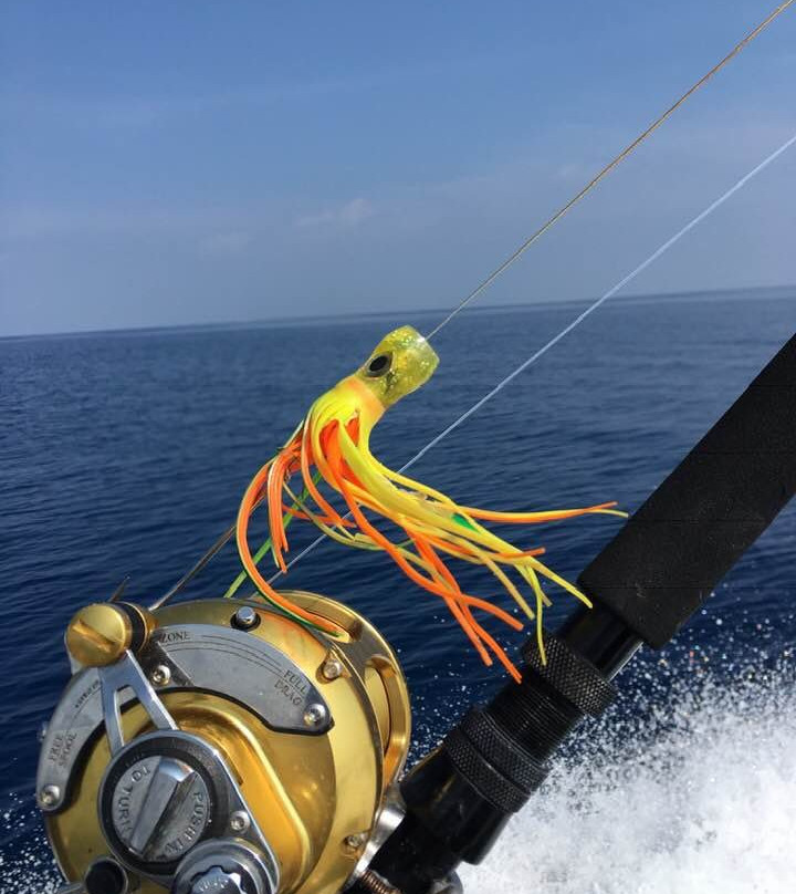 2023年11月Skull Fishing景点攻略-Skull Fishing门票预订|地址|图片-Skull Fishing景点点评-猫途鹰