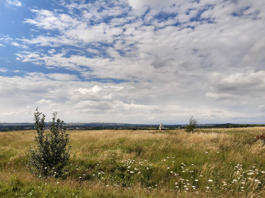 2023年11月Rabbit Ings Country Park景点攻略-Rabbit Ings Country Park门票预订|地址|图片 ...