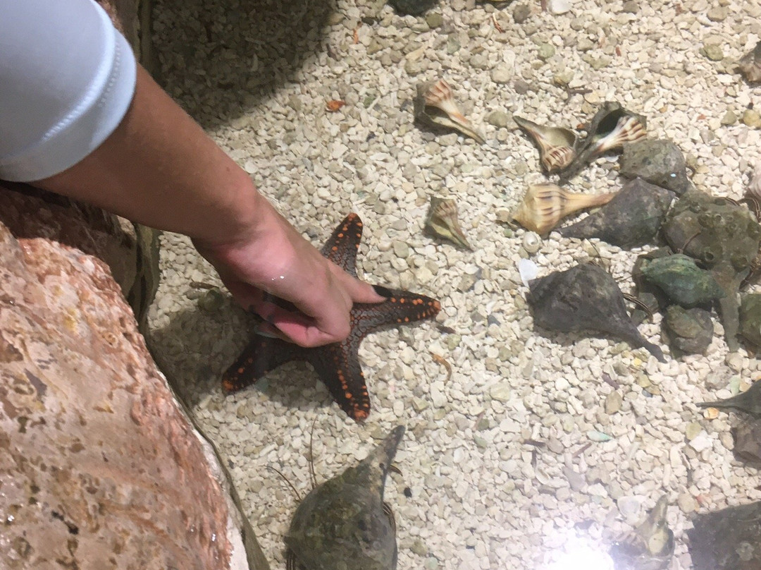 2024年4月Texas State Aquarium景点攻略-Texas State Aquarium门票预订|地址|图片-Texas ...