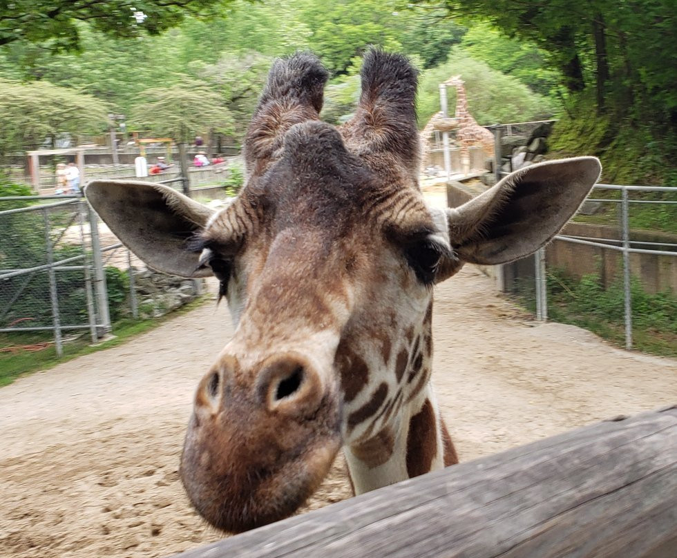 2025年2月Memphis Zoo景点攻略-Memphis Zoo门票预订|地址|图片-Memphis Zoo景点点评-猫途鹰