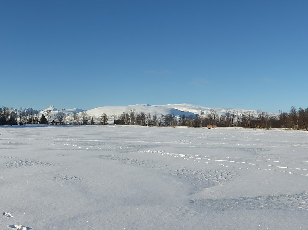 2025年3月Prestvannet Lake景点攻略-Prestvannet Lake门票预订|地址|图片-Prestvannet Lake ...