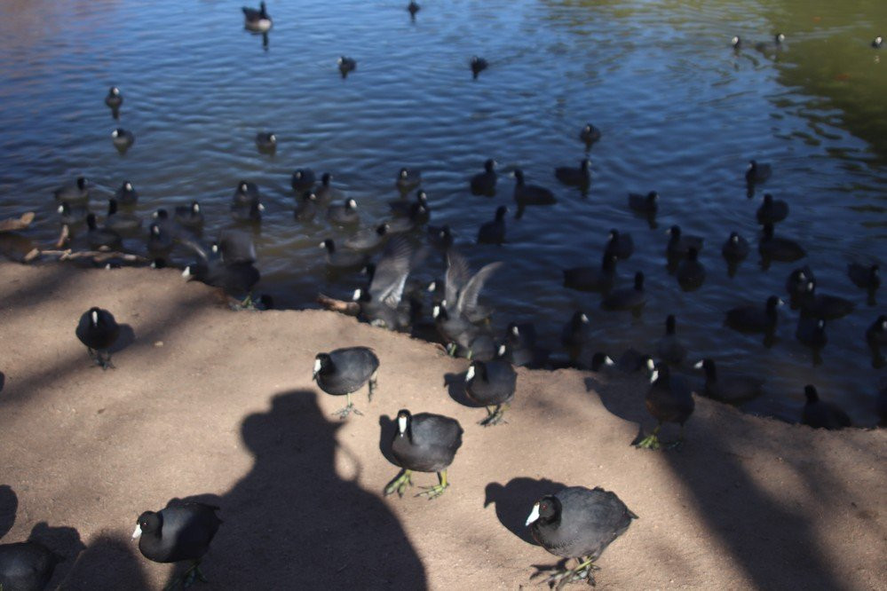 2023年11月Hesperia Lake景点攻略-Hesperia Lake门票预订|地址|图片-Hesperia Lake景点点评-猫途鹰