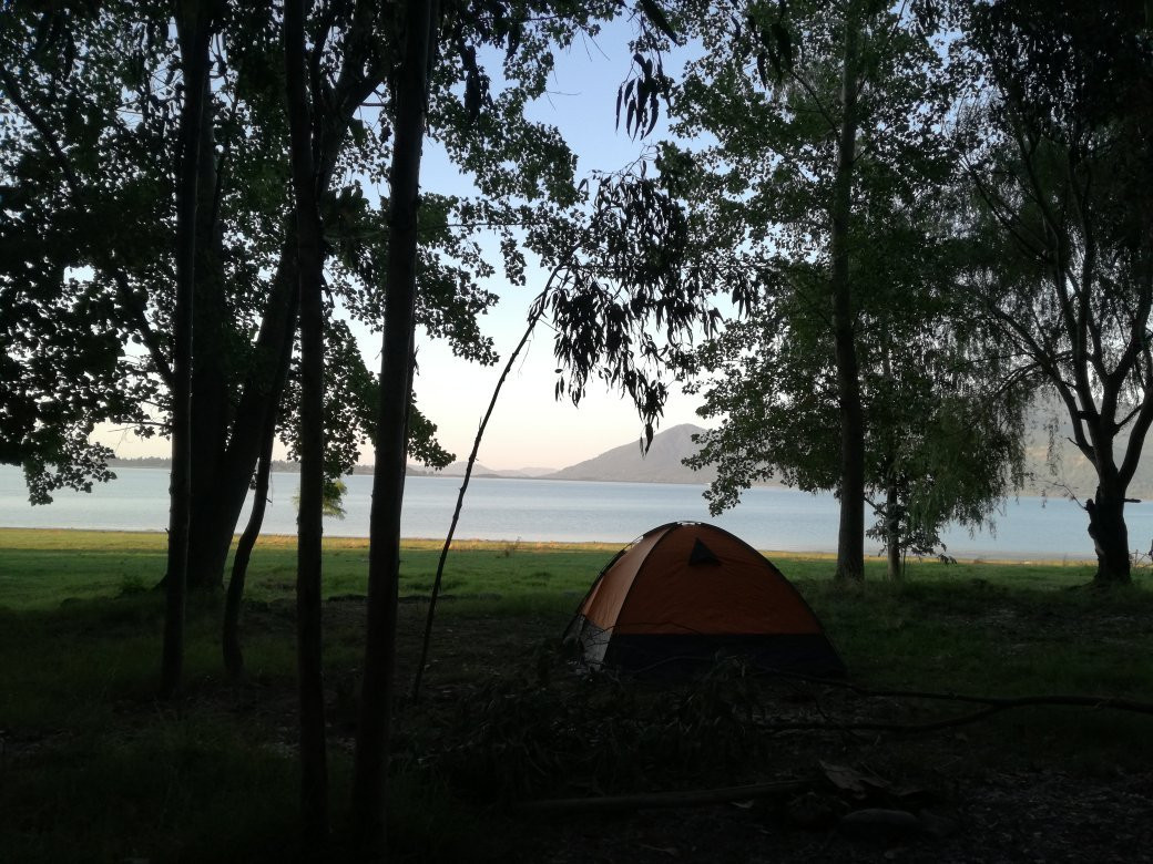 2023年11月Lago Colbun景点攻略-Lago Colbun门票预订|地址|图片-Lago Colbun景点点评-猫途鹰