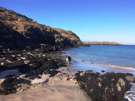 2023年9月Great Bernera旅游景点攻略-Great Bernera旅游住宿,-Great Bernera旅游美食-猫途鹰