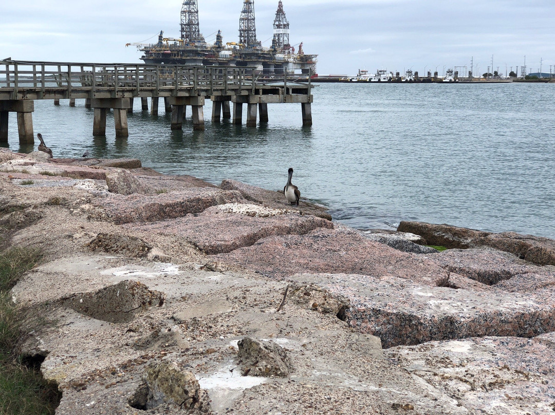 2023年12月Roberts Point Park景点攻略-Roberts Point Park门票预订|地址|图片-Roberts ...
