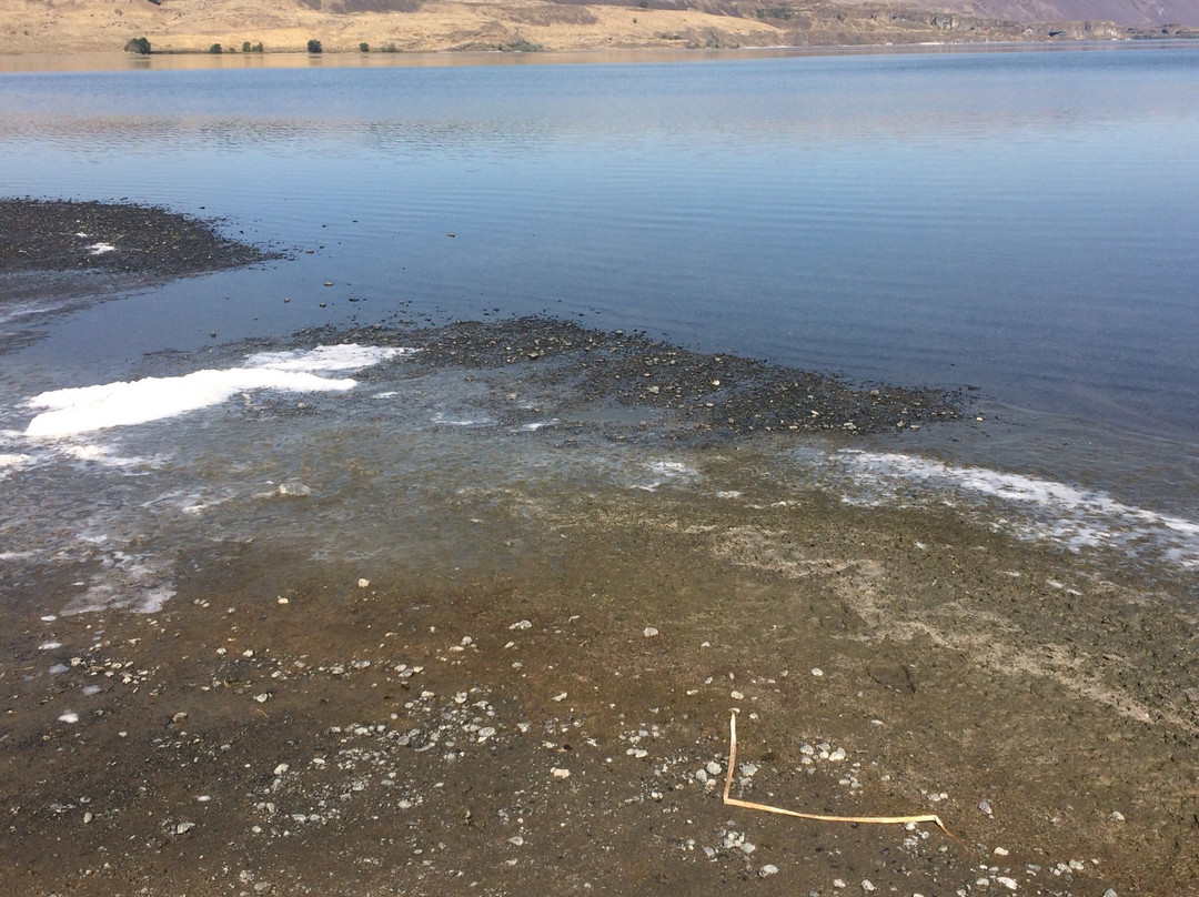 2025年2月Soap Lake景点攻略-Soap Lake门票预订|地址|图片-Soap Lake景点点评-猫途鹰