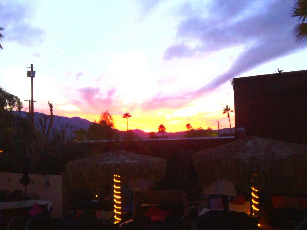 2025年9月Morongo Valley旅游景点攻略-Morongo Valley旅游住宿,-Morongo Valley旅游美食-猫途鹰