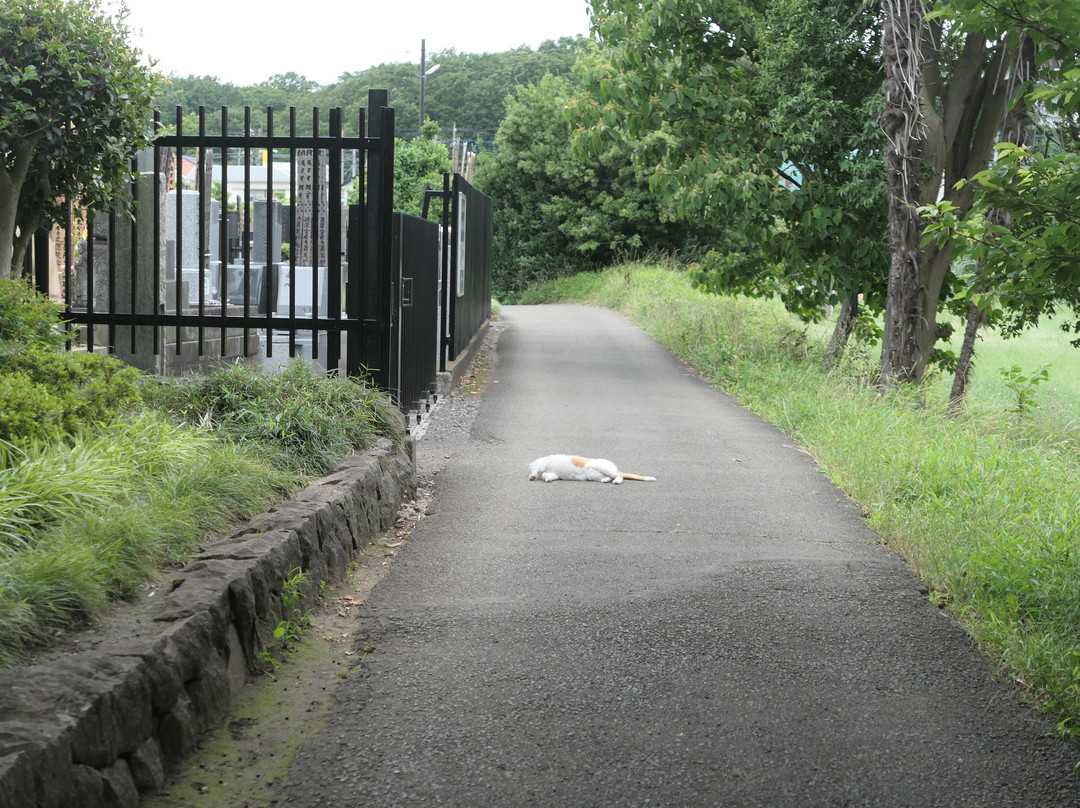 2023年11月Ruins of Musashi Kokubunji Temple景点攻略-Ruins of Musashi ...