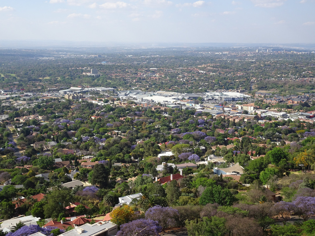 2024年8月Northcliff Ridge Ecopark景点攻略-Northcliff Ridge Ecopark门票预订|地址|图片 ...