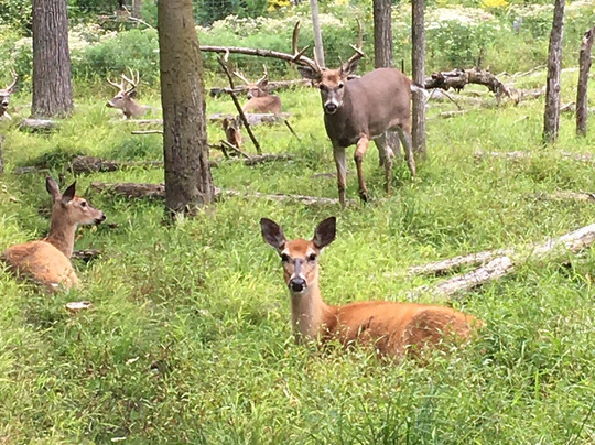 2023年11月Shalom Wildlife Zoo景点攻略-Shalom Wildlife Zoo门票预订|地址|图片-Shalom ...