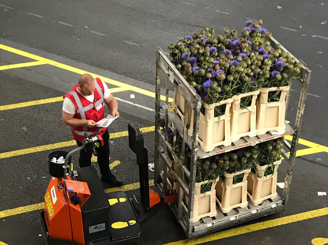 2024年10月Royal FloraHolland Visitor Centre景点攻略-Royal FloraHolland ...