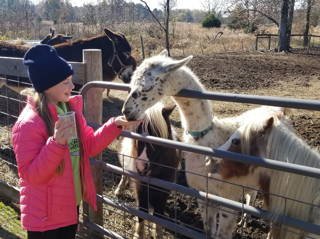 2023年12月Barnyard Friends Peting Zoo景点攻略-Barnyard Friends Peting Zoo门票预订 ...
