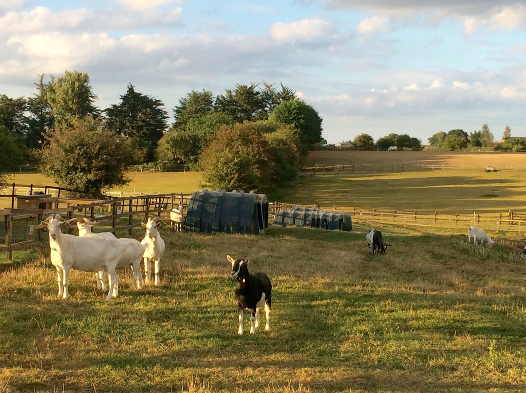 2026年1月Frettenham旅游景点攻略-Frettenham旅游住宿,-Frettenham旅游美食-猫途鹰