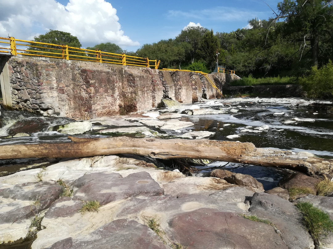 2023年11月Parque Ecologico El Sabinal景点攻略-Parque Ecologico El Sabinal门票预订 ...