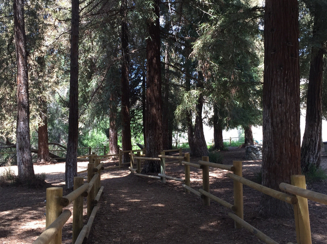 2024年2月Carbon Canyon Regional Park景点攻略-Carbon Canyon Regional Park门票预订 ...