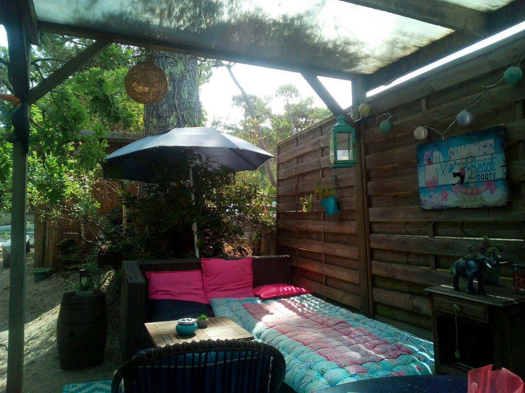 2023年12月Mini Golf de la Dune景点攻略-Mini Golf de la Dune门票预订|地址|图片-Mini ...