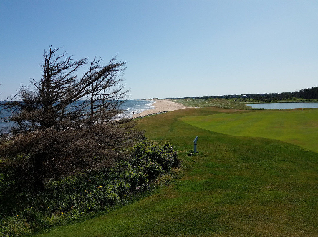 2024年10月The Links at Crowbush Cove景点攻略-The Links at Crowbush Cove门票预订 ...