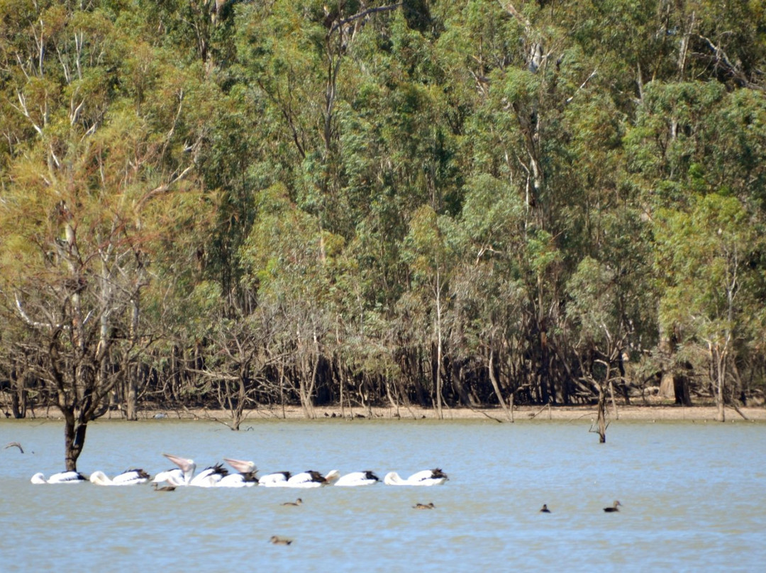 2025年7月Ouyen景点攻略-Ouyen旅游必去景点-Ouyen景点大全-猫途鹰