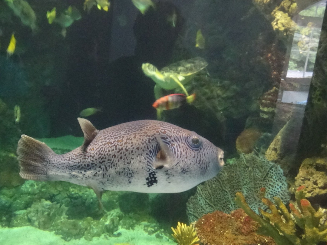 2025年3月Pittsburgh Zoo & Aquarium景点攻略-Pittsburgh Zoo & Aquarium门票预订|地址 ...