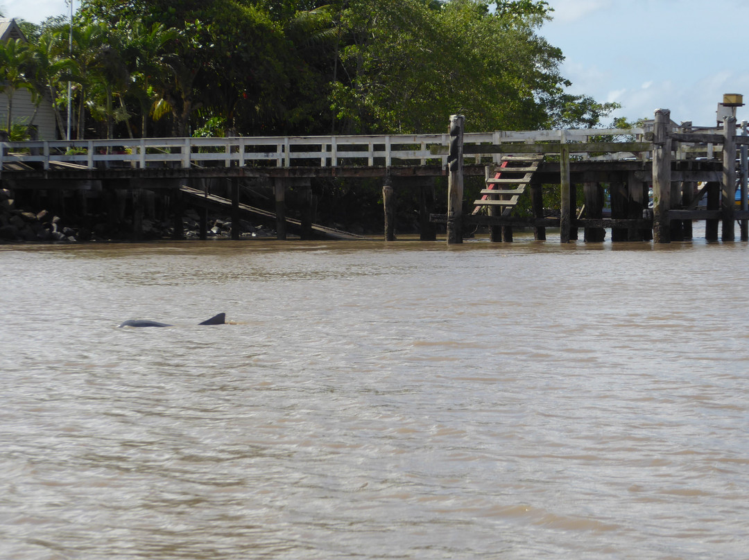 2025年1月Commewijne River景点攻略-Commewijne River门票预订|地址|图片-Commewijne River ...