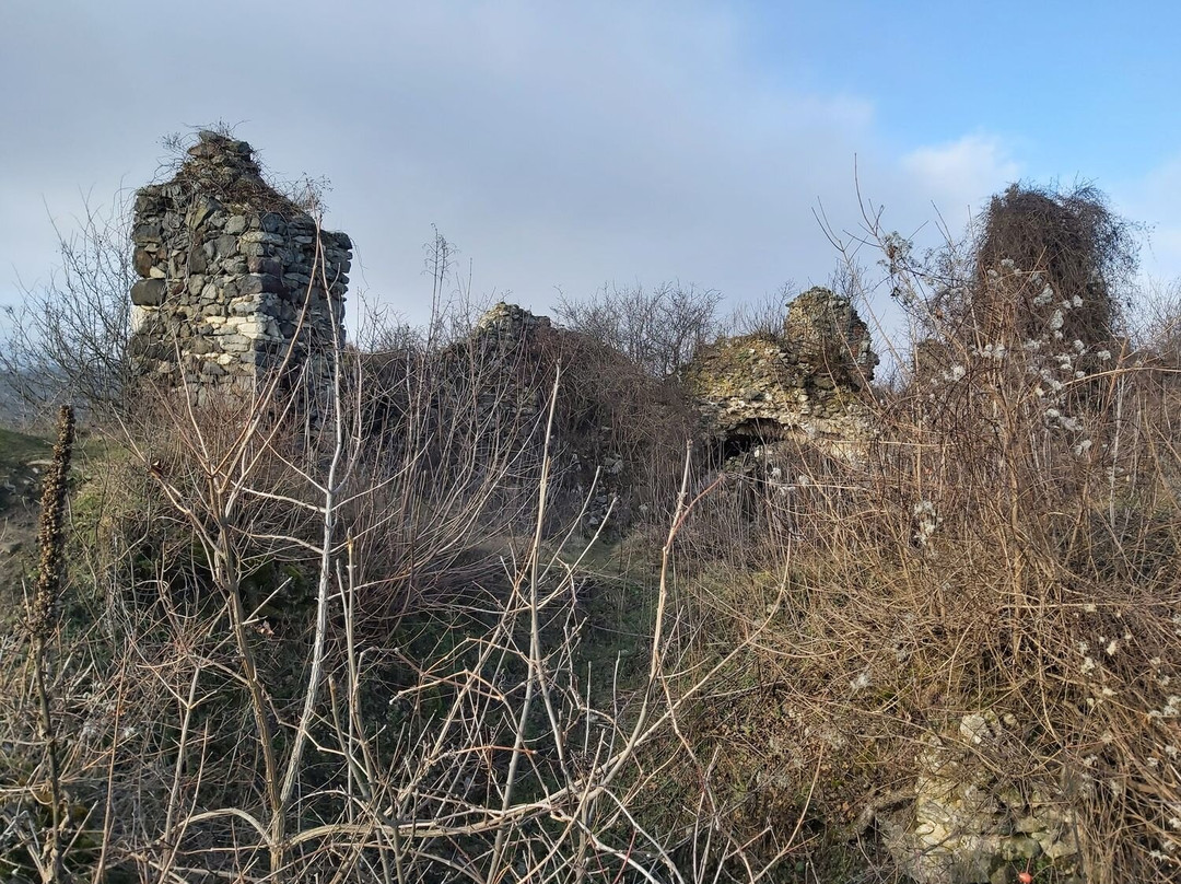 2024年7月Bujak景点攻略-Bujak旅游必去景点-Bujak景点大全-猫途鹰