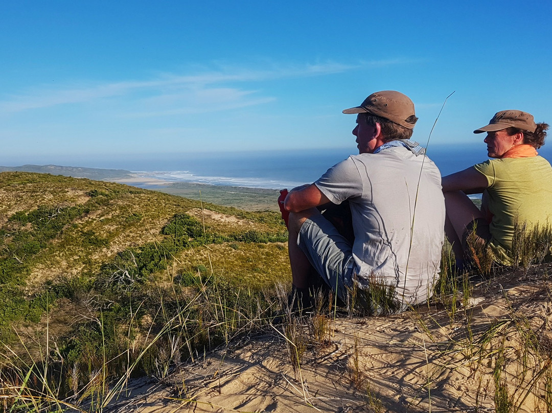 2023年11月Garden Route Trail景点攻略-Garden Route Trail门票预订|地址|图片-Garden ...