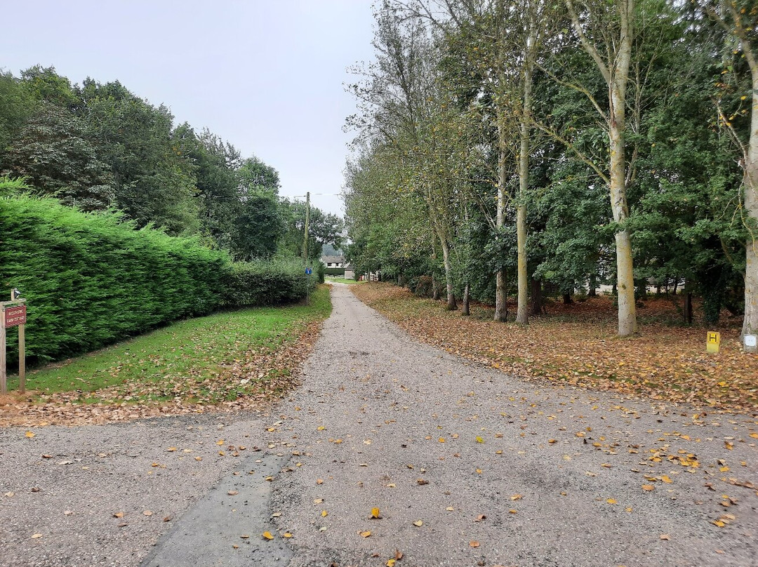 2025年4月Barnwell景点攻略-Barnwell旅游必去景点-Barnwell景点大全-猫途鹰