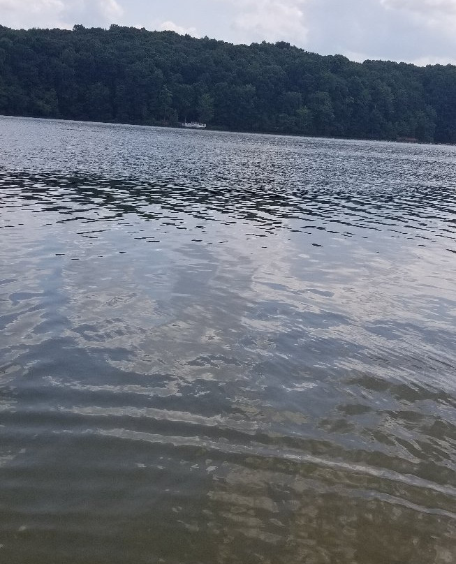 2023年11月Sandy Creek Park景点攻略-Sandy Creek Park门票预订|地址|图片-Sandy Creek ...