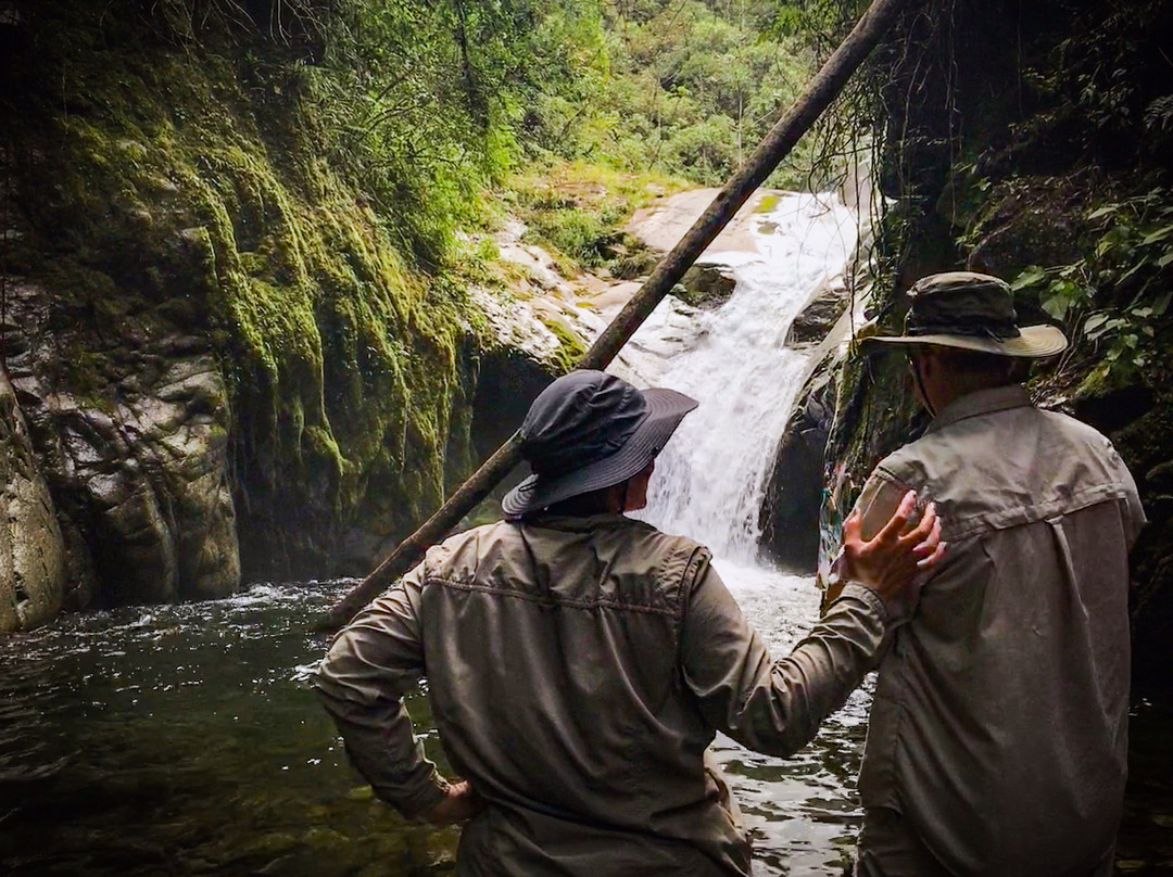 2024年3月Manire旅游景点攻略-Manire旅游住宿,-Manire旅游美食-猫途鹰