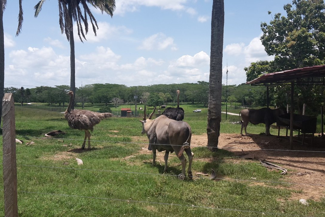 2023年11月Yumká景点攻略-Yumká门票预订|地址|图片-Yumká景点点评-猫途鹰